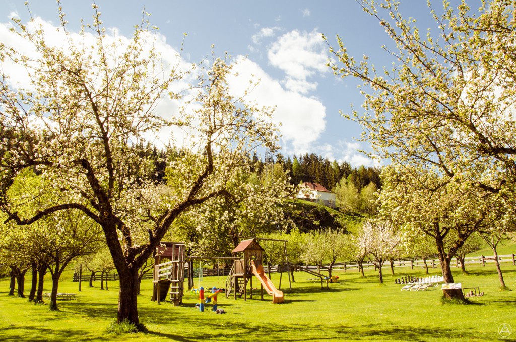 Liegewiese – Zechnerhof